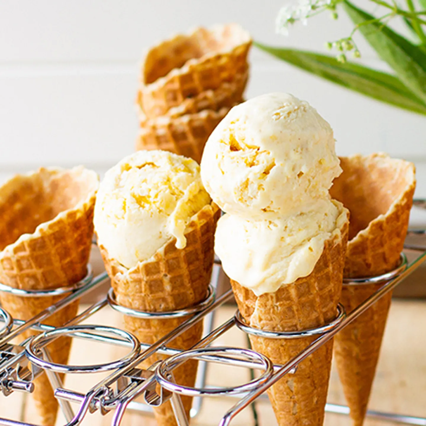 Maidoton mangojäätelö